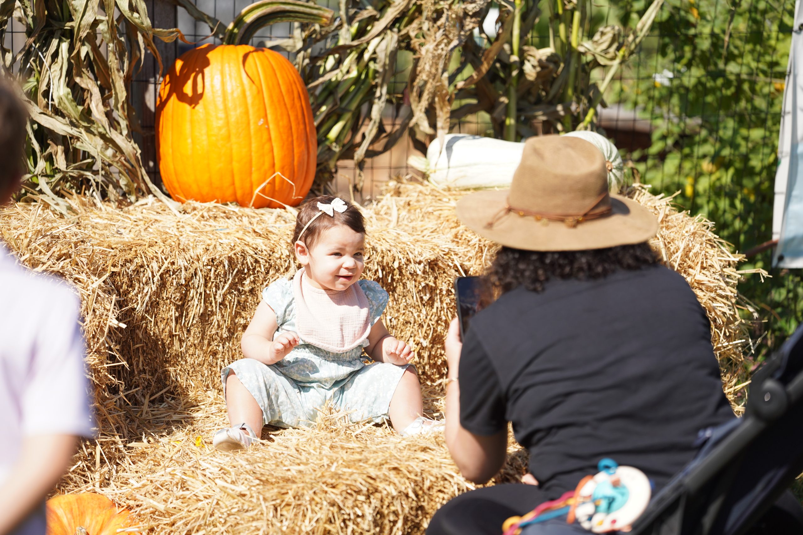 October Features Boo Bash Celebration and More Free Programming ...