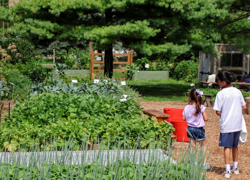 RIPA's Urban Farm Celebrates 20 Years of Growth! - Randall's Island
